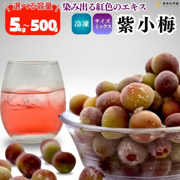 【発売日：2026年07月04日】●商品詳細冷凍の紫小梅です。秀品・優品混合のため、傷やシミのある果実が含まれる場合がございます。サイズはミックスでお届けします。品質保全のためクール便で発送いたします。到着後は冷凍庫にて保管をお願いします。...