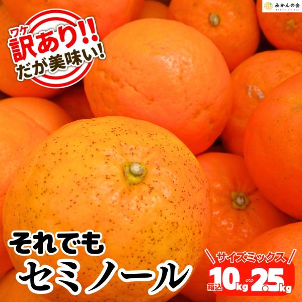 【発売日：2026年04月20日】●商品説明訳あり品ですので果皮に傷・黒点、形の歪な果実中心の商品です。追熟を行いますのでヘタが茶色く変色する場合ががございます。サイズミックスの為大玉から小玉様々な大きさの果実が混ざります。●注意事項生鮮品...