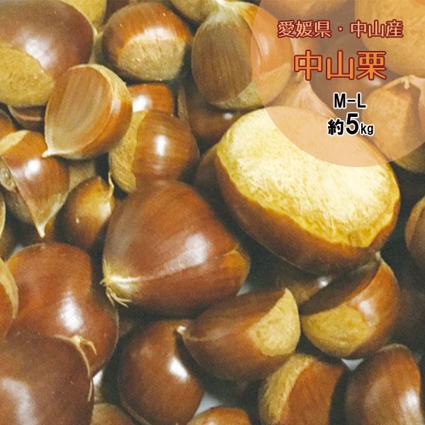 【発売日：2018年09月27日】中山栗 日本一の栗 大粒 甘くてホクホクです 送料無料※天候による影響を防ぐため、冷蔵便でお届けいたします。愛媛県産　日本一の称号を誇る 中山栗です！！日本一の理由は、その味と大玉その生産地である愛媛県の中...