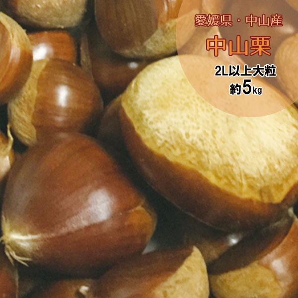 【発売日：2018年09月27日】中山栗 日本一の栗 大粒 甘くてホクホクです 送料無料愛媛県産　日本一の称号を誇る 中山栗です！！日本一の理由は、その味と大玉その生産地である愛媛県の中山町は、そのほとんどが中山間地であり、栗栽培がされてい...