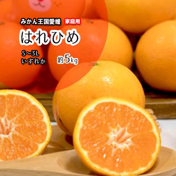 はれひめ 箱買い みかん ご家庭用 雑柑 2S S Ｍ Ｌ 2Ｌ 3Ｌ 約5ｋｇ 送料無料はれひめの季節です。みかんと同様、手で皮がむける柔らかい品種です。穏やかな甘みと酸味、剥いた瞬間の香りも必見のはれひめ。老若男女問わず食べやすい味。サ...