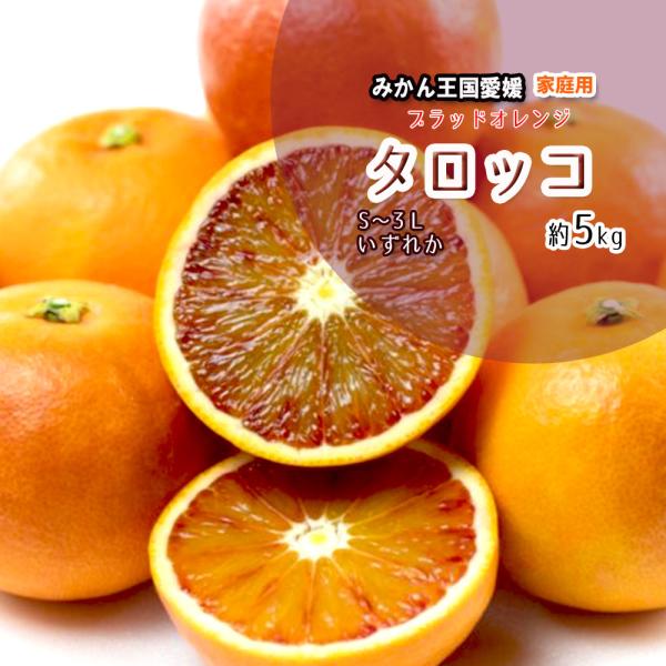 タロッコ 家庭用 新品種 ブラッドオレンジ 箱買い 愛媛県産 送料無料 5ｋｇ S-3Ｌイタリアを原産地とするブラッドオレンジ「タロッコ」。寒い季節が苦手な品種ですが、近年の温暖化により、日本でも美味しく実るようになりました。愛媛の一部の温...