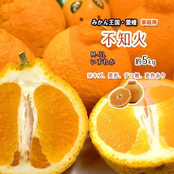 デコみかん 家庭用 不知火 しらぬい デコポン 5ｋｇ Ｍ〜2Ｌ 送料無料デコポンの規格外品、デコみかん。不知火（しらぬい）。デコポンといえば、愛らしいヘタのある果棟部部の出っ張りが特徴。デコみかんはデコポンと同じく、強い甘味、ほどよい酸味...