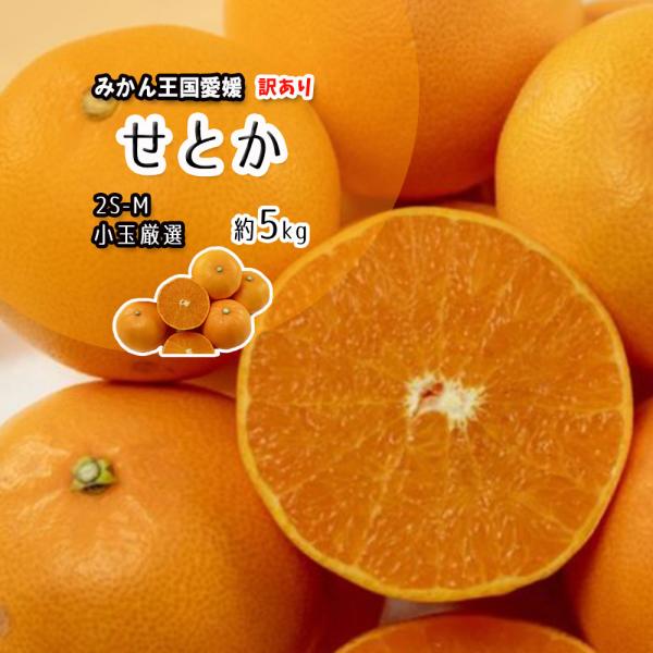 贈答にも最高品種として君臨する、愛媛県産「せとか」登場です。みかんの大トロと言われるほどトロトロ果肉。大玉果実で、糖度が高く、食味良好の柑橘です。果皮は橙色から濃橙色、果面はなめらかで美しく、外皮も薄く浮き皮もなく締まっています。 外の皮が...