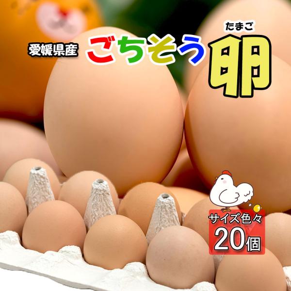 たまご 鶏卵 玉子 卵 タマゴ ごちそう卵 こだわりの濃厚 うまいたまごです。 20個 送料無料野菜ソムリエプロ厳選、確かな舌で選んだ卵です。健康でストレスの無いニワトリから生まれた卵を全国の方に。完全管理で環境を整え、餌にもこだわって臭み...