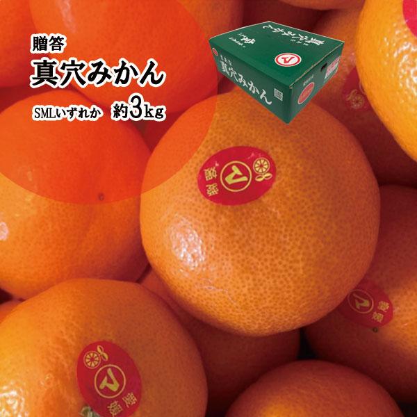予約販売開始！みかん 真穴みかん ご贈答 お歳暮 真穴 約3ｋｇ S M L いずれか 送料無料※10月下旬入荷予定。順次入荷次第発送となります。※贈答品ですが、10月の入荷分からしばらくは真穴のシールは付きません。贈答本格シーズンに入ると...