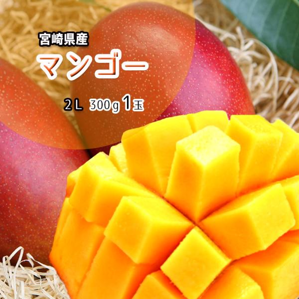 マンゴー 宮崎県産 完熟 完熟マンゴー 2Ｌ 1玉 送料無料宮崎県産の「アップルマンゴー」。リンゴのように真っ赤な外見と、香り高く甘みと酸味がベストバランスのマンゴーです。某県知事さんのＰＲも記憶に新しいですね。その味はおっしゃる通りの自信...