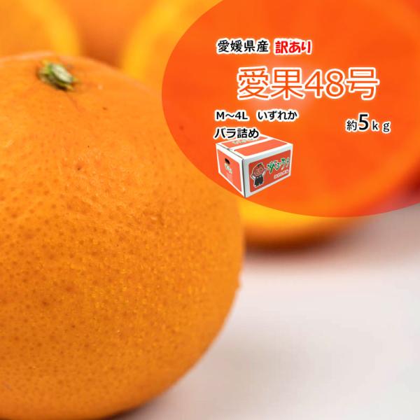 愛果48号 訳あり みかん 箱買い 家庭用 愛媛県産 約5ｋｇ 紅プリンセス 同等品 紅まどんな 甘平愛果48（あいか48）は、2022年に品種登録された柑橘類の新品種です。正式名称は「愛媛果試第48号」で、商品登録名は「紅プリンセス」。紅...