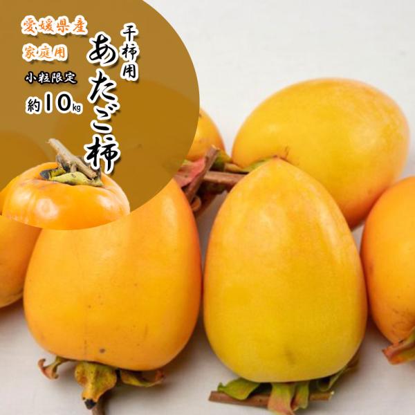 柿 かき 渋柿 干し柿用 愛宕柿 愛媛県産 送料無料※こちらは小さいサイズ限定です。早く干せて食べやすいサイズです。※現在ご注文が殺到しております。発送まで1週間前後必要な場合がございます。また、早期終了することがございますので、お日にち指...