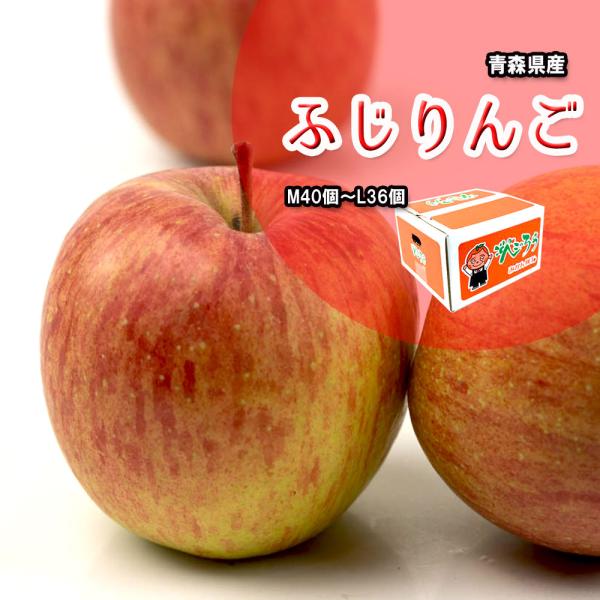 ふじりんご 贈答箱 りんご 青森県産 リンゴ 林檎 M〜L 36個〜40個 送料無料 まとめ買い商品名：ふじりんご （オリジナル箱）生産地：青森県内容量：L36もしくはM40個
