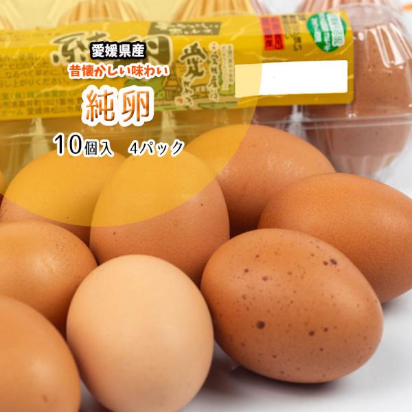 たまご 純卵 愛媛県 純たまご 昔懐かしい味わい 卵 まとめ買い 10個入 3パックまろやかで昔なつかしい美味しさ。木酢精製液・ヨモギゼオライト・海藻などが主成分の地養素をエサに添加することで、甘味やコクが強く、生臭さがないたまごに仕上がり...