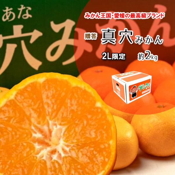みかん 真穴みかん 贈答 お歳暮 真穴 約2ｋｇ 2 L 送料無料※贈答品種ですが、10月から11月入荷分（初期）は真穴のシールがついておりません。御歳暮シーズンよりシールがついてくるものが入りますが、弊社でまとめて仕入れていますので、シー...