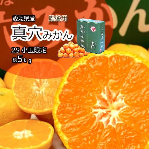 みかん 真穴みかん 贈答 お歳暮 真穴 約5ｋｇ 2S 小玉厳選 送料無料※贈答品種ですが、10月から11月入荷分（初期）は真穴のシールがついておりません。御歳暮シーズンよりシールがついてくるものが入りますが、弊社でまとめて仕入れていますの...