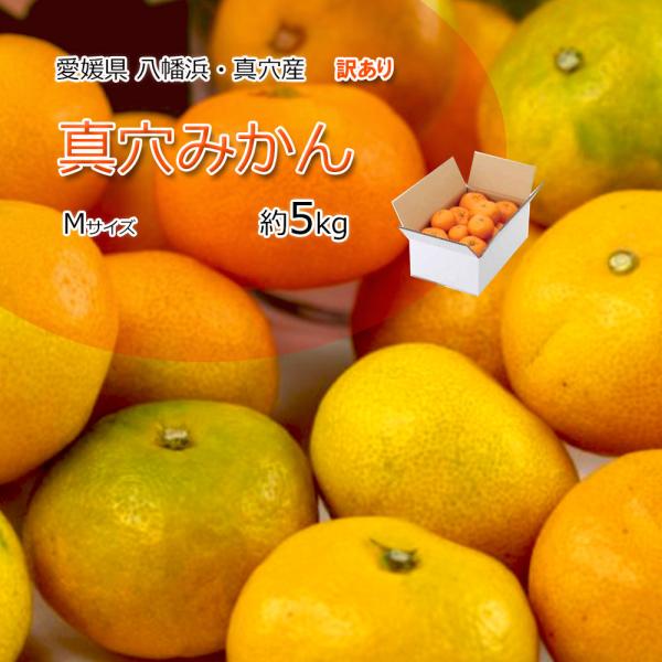 真穴みかん 訳あり みかん 真穴 約5ｋｇ Mサイズ 送料無料※訳あり商品は真穴シールがつきません。※葉傷、変色、変形があります。内容：真穴みかん原産地：愛媛県真穴地区内容量：5kg Mサイズ 訳ありファンがが多くお問い合わせも多数いただい...