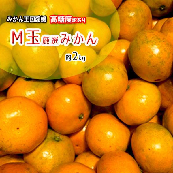 【発売日：2024年12月19日】みかん 訳あり 箱買い 高糖度みかん 愛媛みかん Mサイズ限定 約2ｋｇ ご家庭用 送料無料もっとも市場価値の高いMサイズ限定の販売ページです。内容：愛媛みかん原産地：愛媛県内容量：2kg Mサイズ糖度があ...