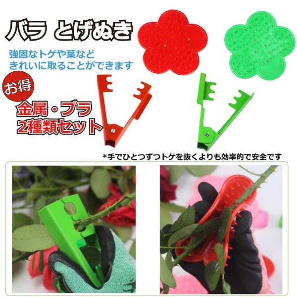 金属製のソーンストリッパーとプラスチック製のトゲ取りです。プラ製のトゲ抜きでバラの茎を挟み込み、茎を勢いよく引っ張ることで簡単にトゲや葉を取ることができます。それだけでは取れない強固なトゲや葉などはソーンストリッパーで茎を挟み込み引っ張るこ...
