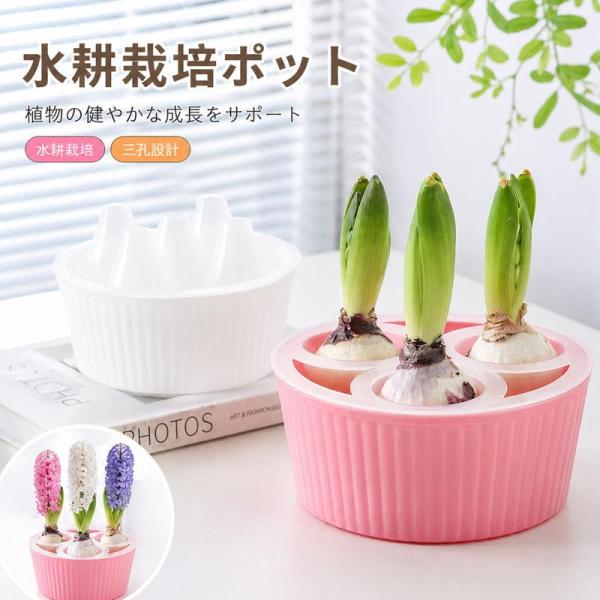 【商品の特徴】1. 3 穴分割設計、複数球根を同時水耕栽培可能本体に独立した植栽穴を 3 基搭載し、ヒヤシンス、水仙、チューリップなど複数の球根を一つの容器で同時育てられます。球根同士の根が絡まりにくく、それぞれ均等に水分と酸素を吸収でき、...