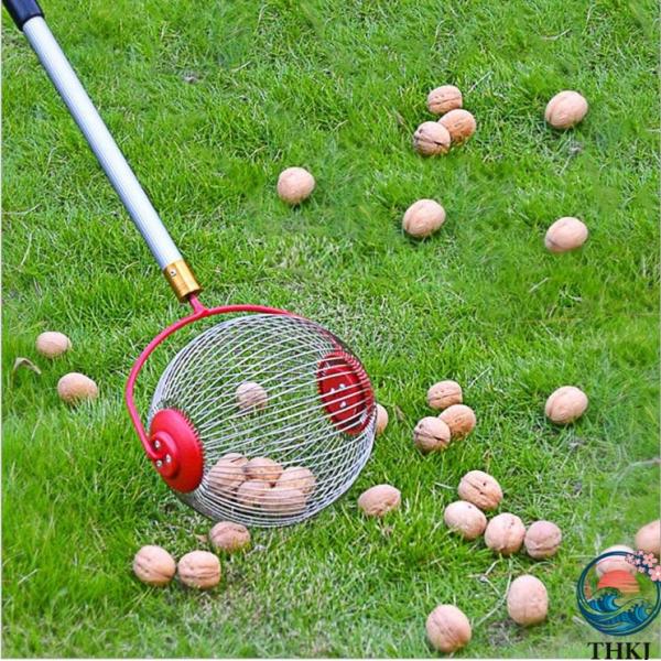 ゴルフ ボールピッカー ボール回収器 卓球 テニスボール ゴルフボール 回収機 キャッチャー ボール拾い 栗 クルミ 収穫 ガーデン 伸縮ハンドル付  芝生の上を掃除機やモップのようにコロコロ転がすだけで、ゴルフボールなどを簡単に回収できる...