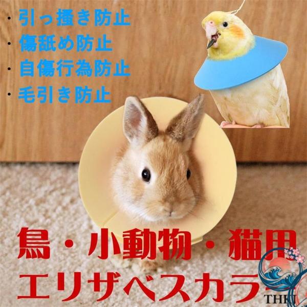 このエリザベスカラーは、マウス・デグー・ヤマネ・ウサギ・フェレット・モルモット・チンチラ・モモンガ・ハリネズミ・テンレック・ワラビー・ミーアキャット・オウム ・セキセイ ・インコ ・ハト・ 小鳥の怪我や自咬み毛引き予防するための必需品です。...