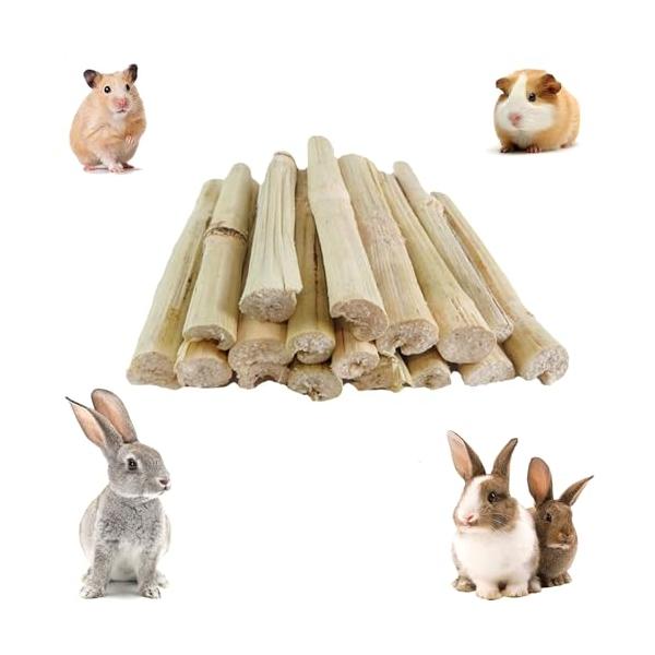 サトウキビの竹/-/1・Color:サトウキビの竹・【歯の健康を守る天然チモシーおもちゃ】小動物の歯の伸びすぎを防ぎ、健康的な歯を維持！噛むことで自然に歯を削り，ストレス解消＆運動不足改善にも最適です。・【消化に優しいおやつ】主原料は高品質...