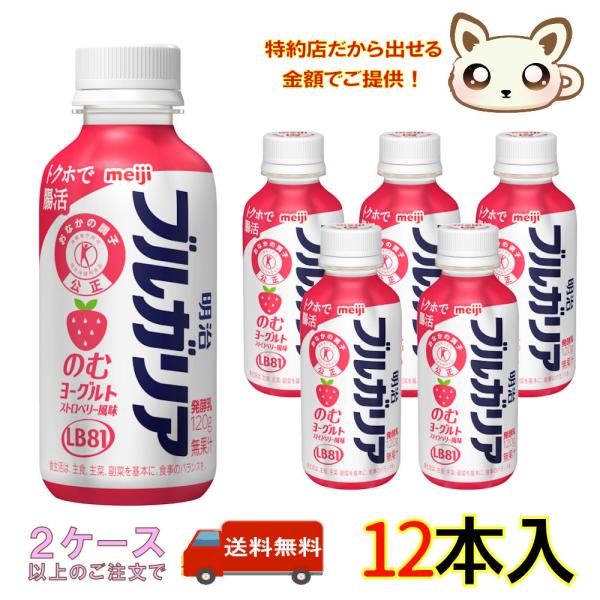 【発売日：2025年10月14日】２ケース以上のご購入でクール便代300円を除く送料分が無料！※クール便は「チルドゆうパック料」として300円が送料に加算されます。賞味期限：当店着後　20日程度