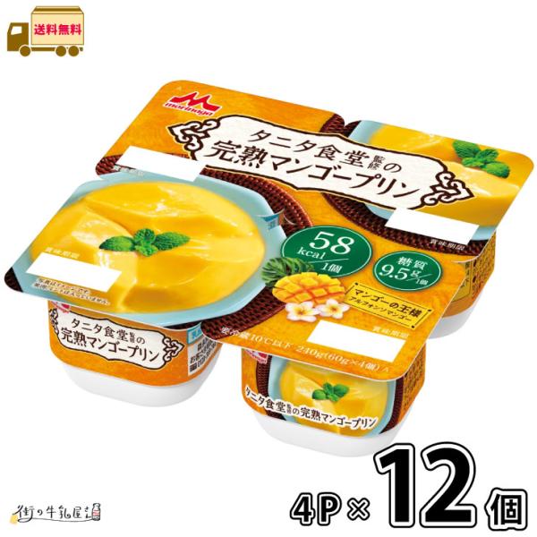 カロリーオフ アルフォンソマンゴー デザート ながもち無菌製法