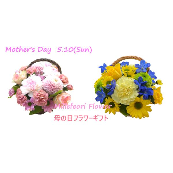 お届けは<br>11日（月）以降のお届けとなります<br>最短のお届けになります<br>※時間指定不可となります。予めご了承下さい。全国無料！一部地域は送料有り北海道送料＋５5０円別途送料がかかります。送...