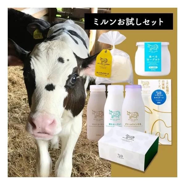 【セット内容】■クリームライン牛乳:200ml×1本■みるくコーヒー:200ml×１本■飲むヨーグルト:200ml×１本■食べるヨーグルト(プレーン)260g×１個■モッツァレラチーズ 100g×１個■さけるチーズ 50g×１個