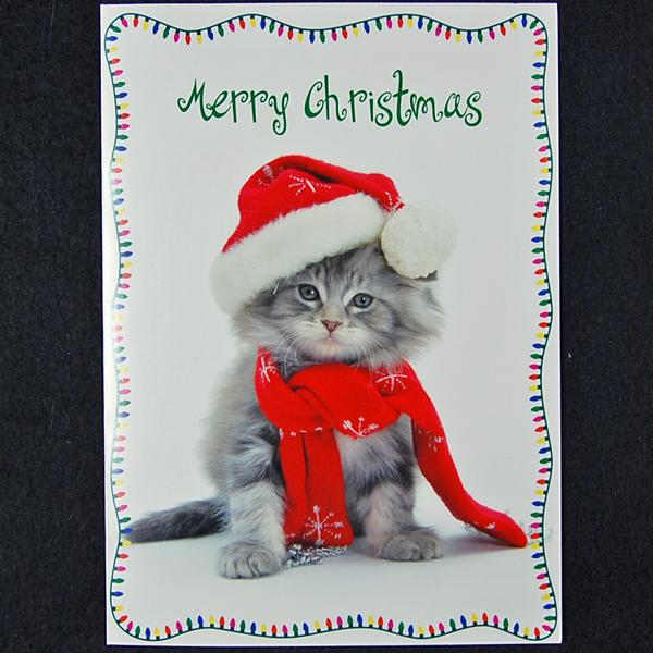 メリー・キャットマス！かわいい猫ちゃんたちのクリスマスカード■二つ折りのクリスマスカード■中の文字「Hope you're all wrapped up in the spirit of the season.」■カードサイズ：12.5ｃｍ...