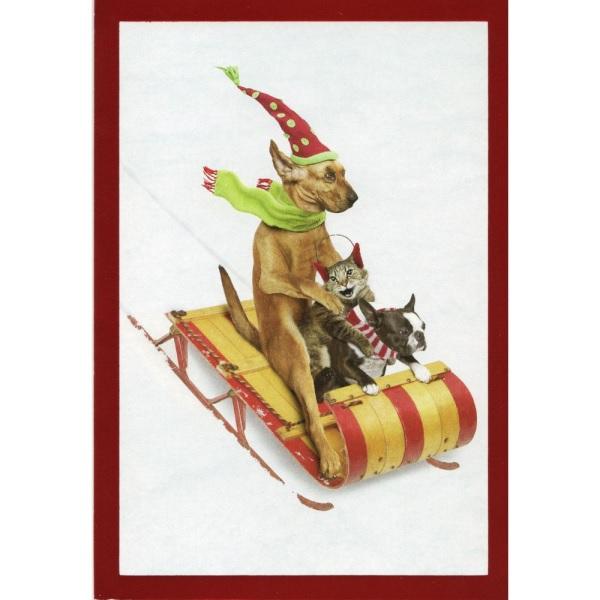 仲良し猫ちゃんワンちゃんのクリスマスカード<br>クリスマスホリデーにはみんなで楽しく遊ぼうね！■二つ折りのクリスマスカード■カードサイズ：11.8ｃｍ*17ｃｍ （日本では定形外郵便のサイズになります） ■輸入国：アメリカ■配...
