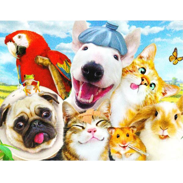 ■アーティスト：ハワード・ロビンソン■二つ折りのミニお見舞いカード■中の文字「Here's some extra smiles... Just in case you need one. Feel Better Soon」■封筒付き■9.8...