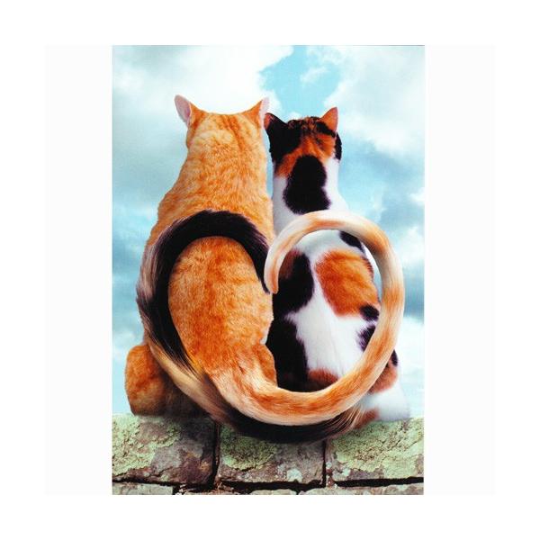 ■アーティスト：ジョン・ランド■二つ折りのアニバーサリーカード■中の文字「Talk about a happy tale. Happy Anniversary」■封筒付き■11.8ｃｍ*17ｃｍ （日本では定形外郵便のサイズになります）■輸...