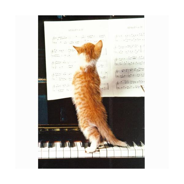 誕生日にはハッピーになれる曲を弾いてほしいニャ!ハッピーバースデートゥーミュウ♪♪■二つ折りのバースデーカード■中の文字「HOPE YOUR DAY BEGINS AND ENDS ON A HAPPY NOTE! HAPPY BIRTHD...