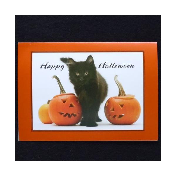 ■二つ折りのハロウィンカード■中の文字「Hope lots of treats and fun cross your path this Halloween!」■封筒付き■12.5ｃｍ*17.5ｃｍ （日本では定形外郵便のサイズになります）...