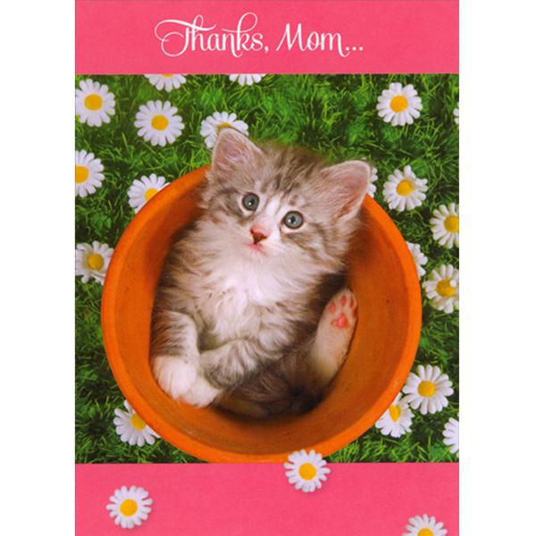■二つ折りの猫の母の日カード■中の文字「...for all the tight spots you've gotten me out of! You're the best! Happy Mother's Day」■封筒付き■12.5ｃｍ...