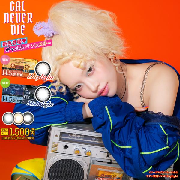 ●商品のお届け目安平日9:00迄のご注文で2〜3日営業日後の発送とさせて頂きます。お取り寄せ商品の為 メーカーのお休み（土日祝日 GW・夏季・年末年始） に応じて遅れる場合がございますので お急ぎの方は事前にご連絡ください。●商品情報□内容...