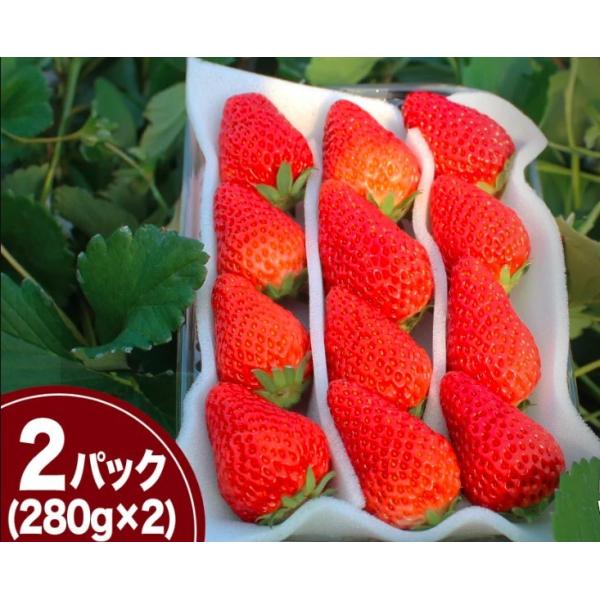 イチゴのデラックスパックがたっぷり2パック。中玉〜大玉サイズになります。品種は「かおり野」「恋みのり」のいずれかになります。購入時にイチゴの品種は選べません。写真はイメージです。時期により大粒中心になったり中粒中心になったりしますので、パッ...