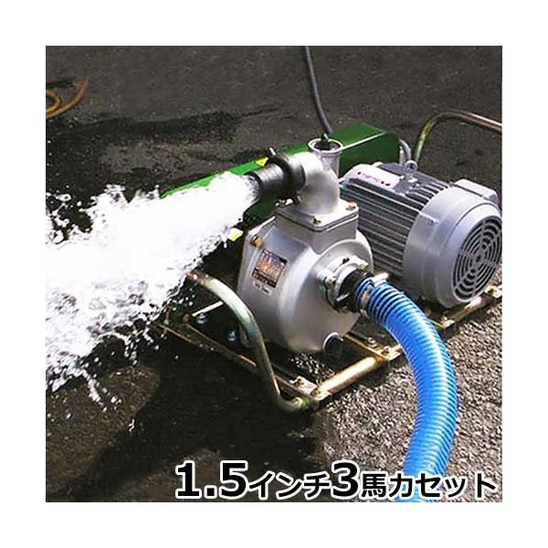 【発送予定：4-7営業日後】【返品不可】【個人宛別途送料】【車上渡し】[ミナトワークス 大水量型 高揚程型 散水ポンプ 灌水ポンプ]