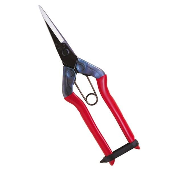 【在庫品】【メール便】[鋏 収穫鋏]チカマサ 芽切鋏(袋入り) T-550 4967645031300収穫時に他の収穫物を傷付けない背砥加工刃です。野菜・果樹の芽切・収穫作業用。■特長・背砥加工刃ですので収穫時に他の収穫物を傷付けません。■...