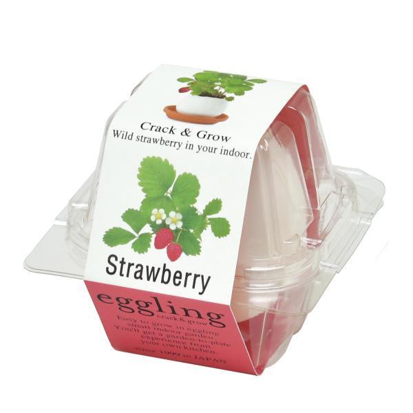 【直送品】【代引不可】[栽培キット グリーン]●まるで本物のたまごのようなegglingシリーズ。●たまごは陶器でできていて中にはタネと土がセットされています。●上部をスプーンなどでコンコンと割って水をあげるとかわいい芽が出てきます。●パッ...