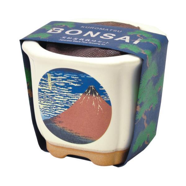 【直送品】【代引不可】[栽培キット グリーン]●日本美術の代表作をあしらった盆栽鉢で育てる黒松の栽培セット。●はじめての盆栽栽培に、贈り物としてもおすすめです。・商品サイズ：8.2×8.2×7.2cm・商品重量：358ｇ