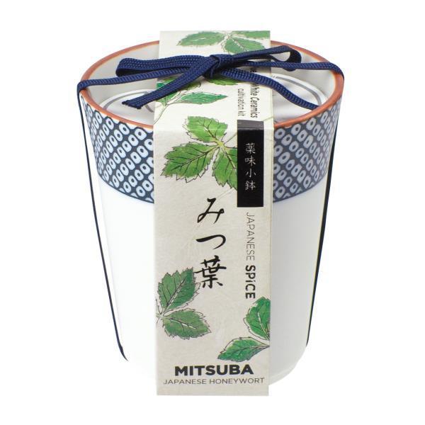 【直送品】【代引不可】[栽培キット グリーン]●料理に少し添えるだけで香りや見た目をぐっと引き締めてくれる薬味。●インテリア感覚でお家で育ててみませんか。・商品サイズ：7×7×8cm・商品重量：145g