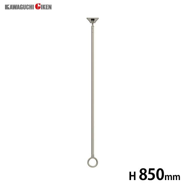 【取寄品】[軒下 天井 のき下 軒 物干 竿 ポール 一体型 川口技研]着脱可能な屋外軒天用物干し。必要な時だけサッと取り出して使える。