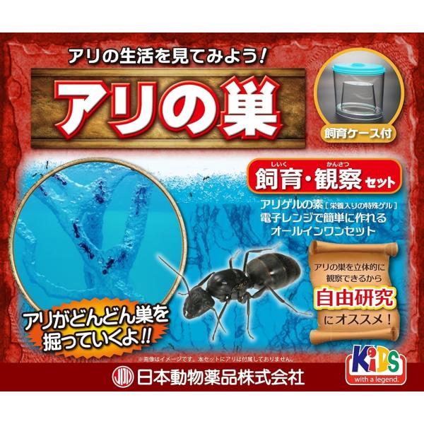 「商品情報」つかまえたアリを観察する飼育セットです。「主な仕様」本体サイズ (幅X奥行X高さ) :16.6×8.6×14cm本体重量:170g原産国:中華人民共和国