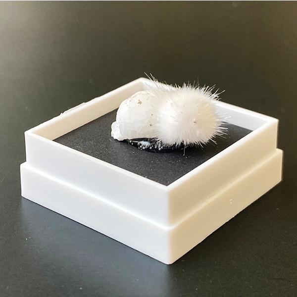 オーケン石（オケナイト）そのふわふわとした見た目からラビットテール（ウサギの尻尾）と呼ばれる鉱物です。非常に脆い石ですのでお取り扱いにはご注意ください。【商品名】オーケン石（Okenite)最長部 直径約14mm【産地】Malad,Mumb...