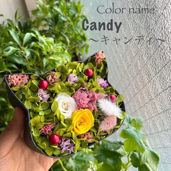 【発売日：2024年08月02日】【使用花材】　プリザーブドフラワー　ドライフラワー【サイズ】　手作り且つ猫型の為、アバウトなサイズです。＊こねこばこ：横12cm×縦10cm×深さ8cm【ラッピング】＊ご自宅用・ギフト用に関わらず、全て画像...