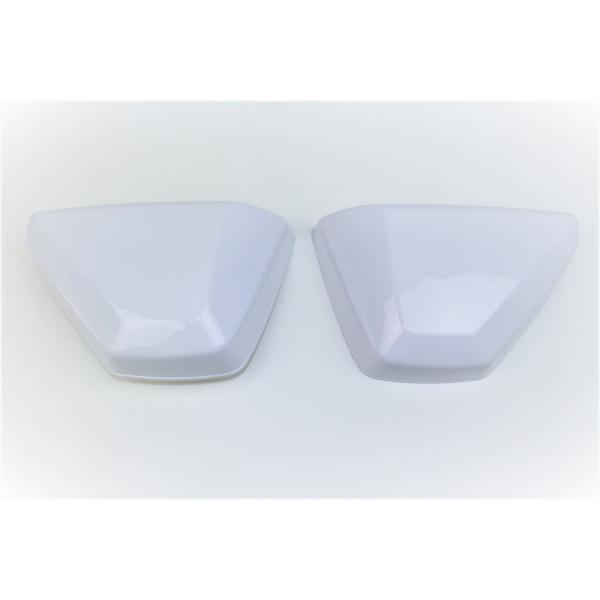 モンキーバッテリーカバーの左右セットモンキーバイクのアクセサリーとしてオススメバッテリー側はバッテリーマウントに取り付けします。反対側は取り付けステーで固定します。