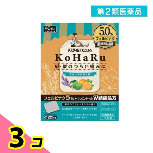 使用期限は6カ月以上先のものを送ります。●有効成分としてフェルビナクを5％，冷感刺激成分のl-メントール4.2％，血行促進作用のあるトコフェロール酢酸エステル2.3％の3 種を配合した鎮痛消炎プラスター剤です。●フェルビナクは痛みに関する物...
