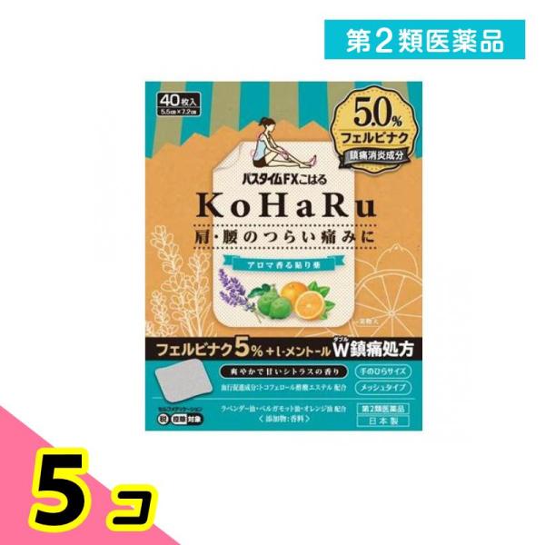 使用期限は6カ月以上先のものを送ります。●有効成分としてフェルビナクを5％，冷感刺激成分のl-メントール4.2％，血行促進作用のあるトコフェロール酢酸エステル2.3％の3 種を配合した鎮痛消炎プラスター剤です。●フェルビナクは痛みに関する物...