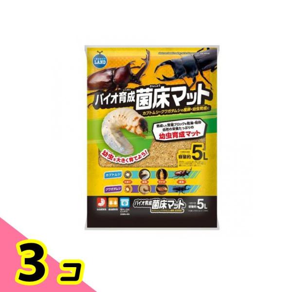 使用期限は6カ月以上先のものを送ります。